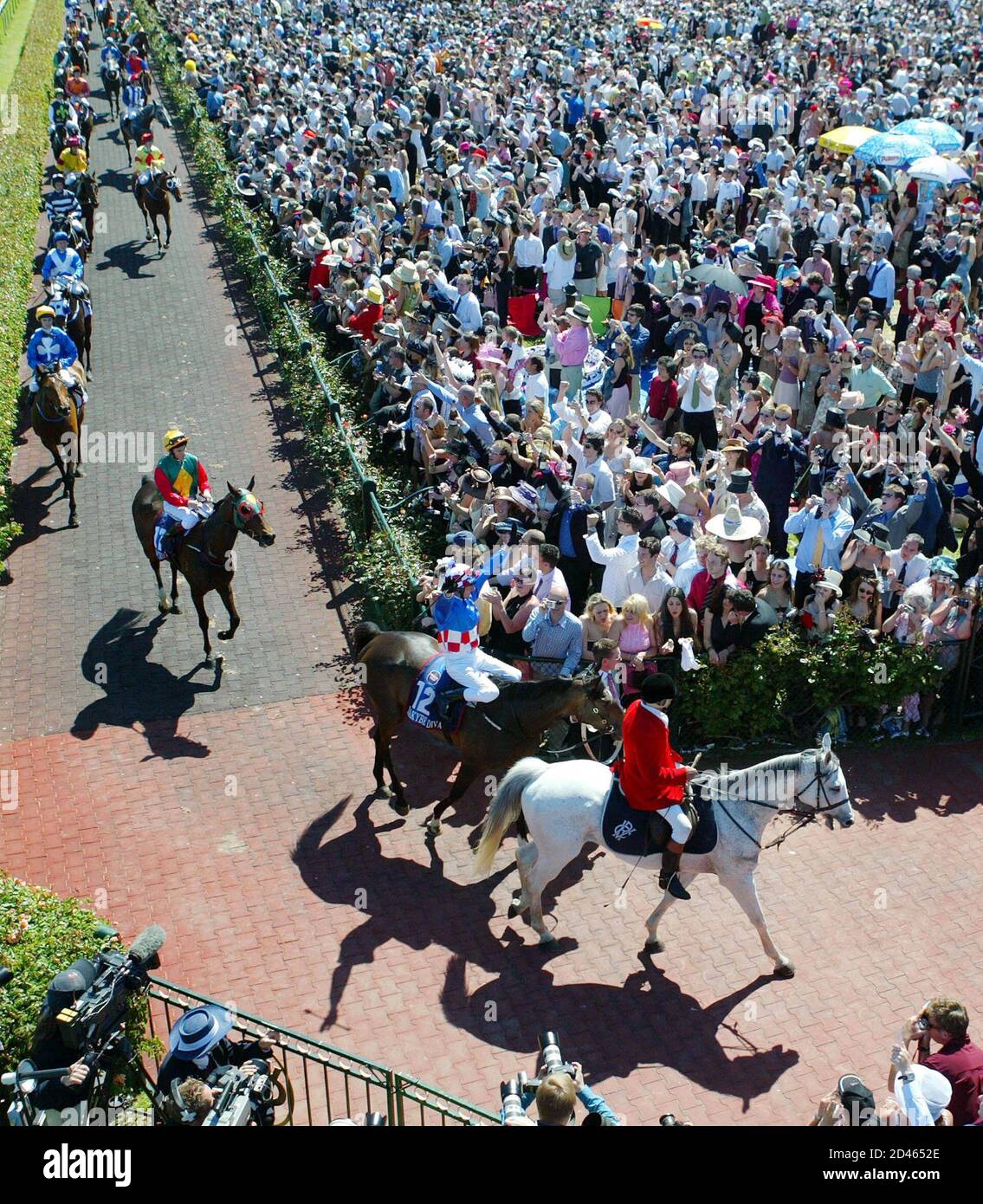 Makybe diva horse hi-res stock photography and images - Alamy