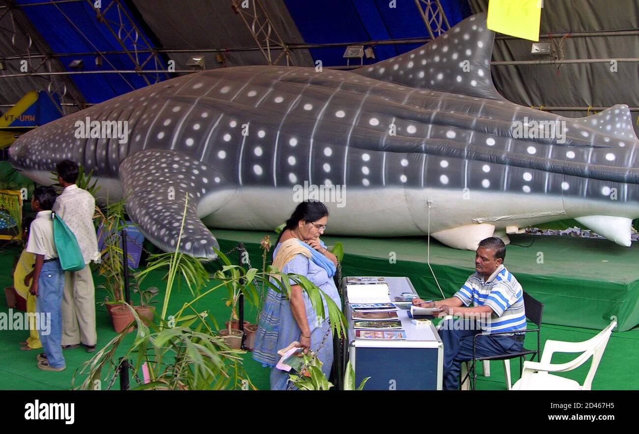 Shark oil hi-res stock photography and images - Alamy