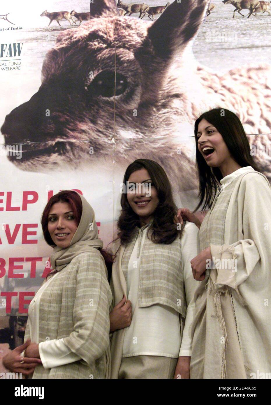 Shahtoosh hi-res stock photography and images - Alamy