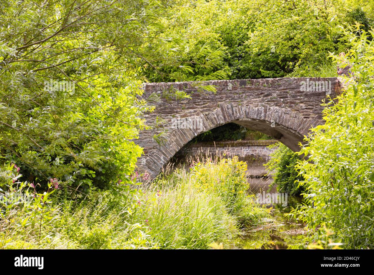 An ancient stone bridge across a small creek with trees and bushes ...