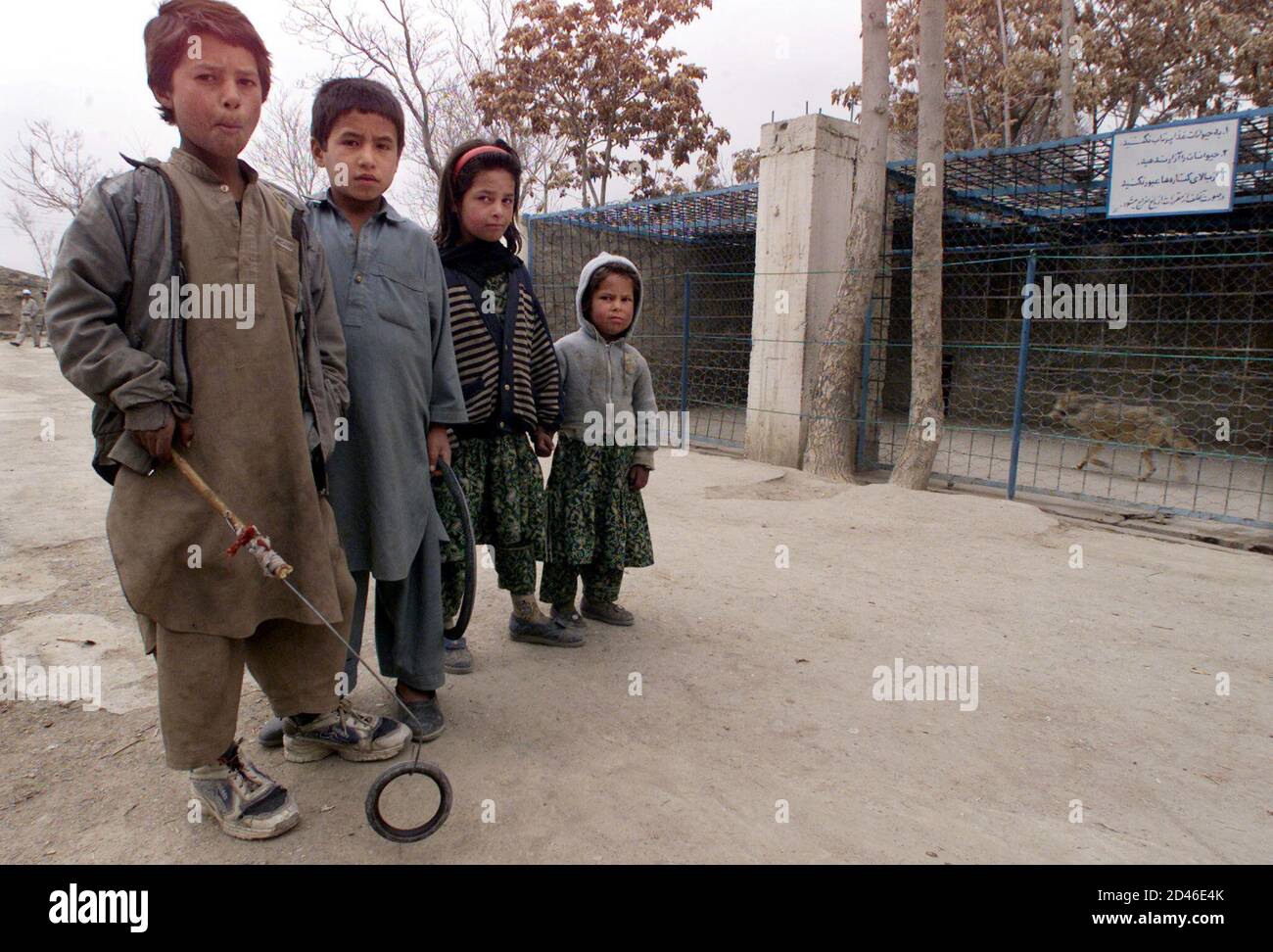 Afghan wolf hi-res stock photography and images - Alamy