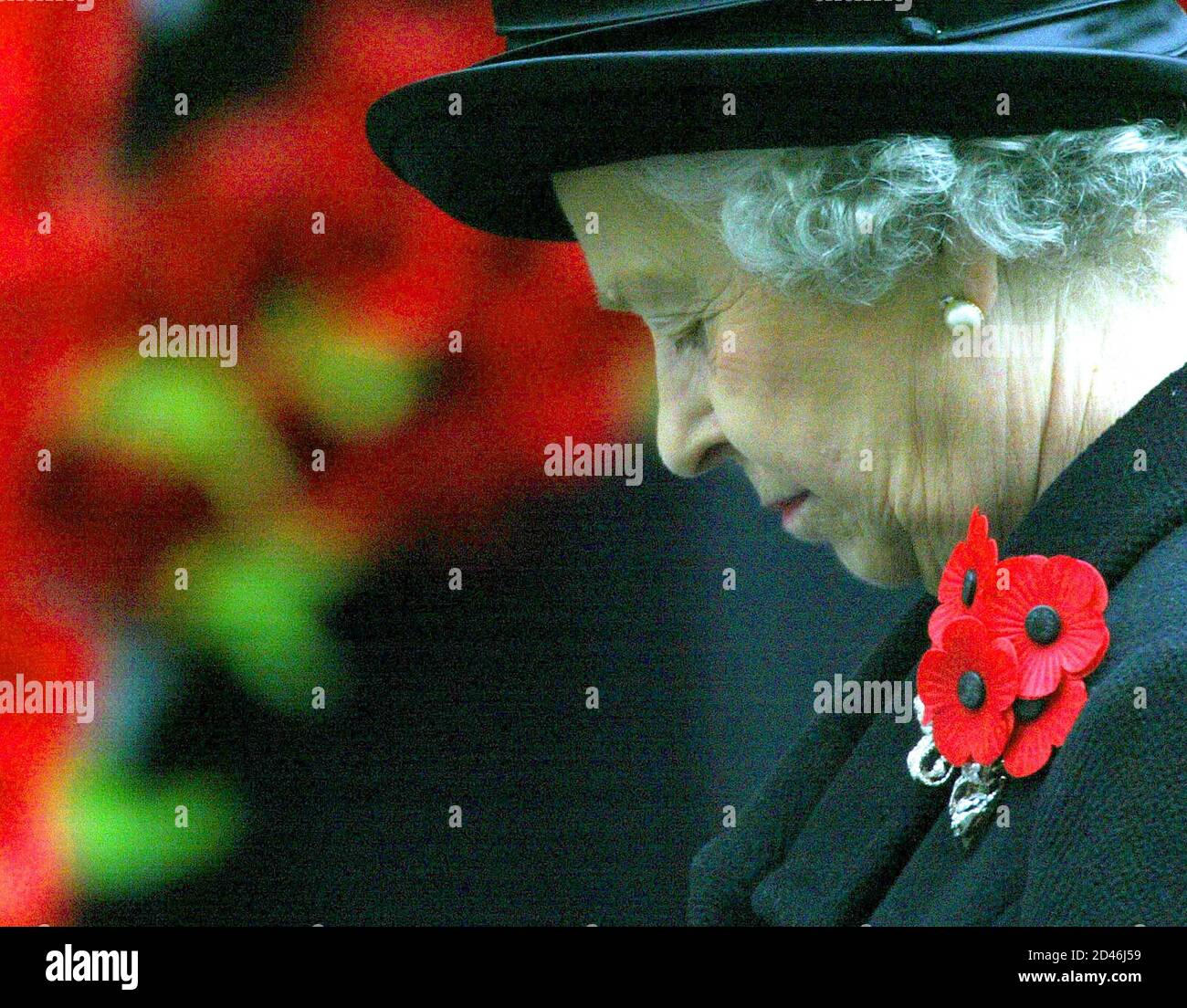 Queen elizabeth field of remembrance hi-res stock photography and ...
