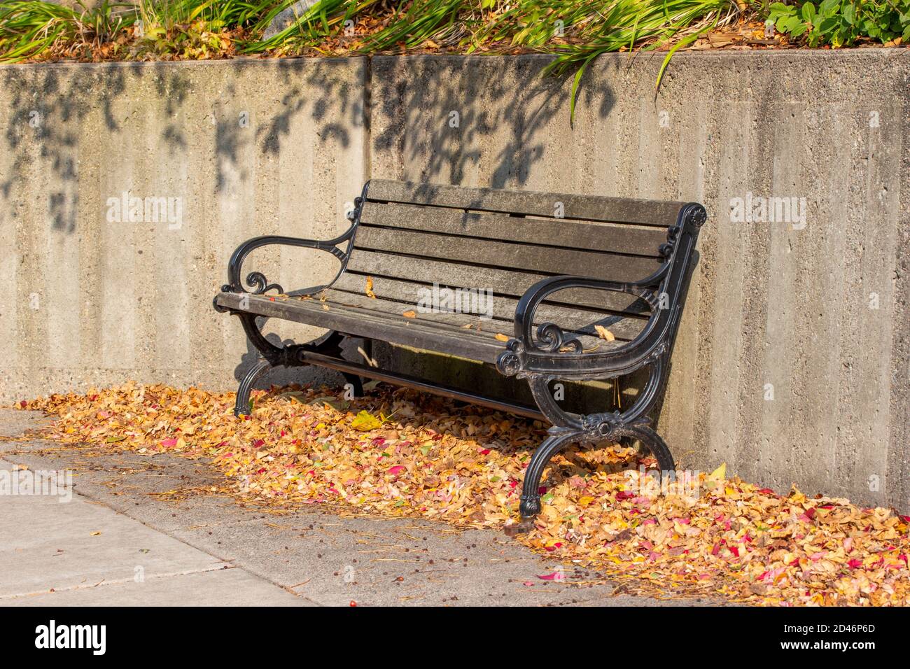 Park bench along empty sidewalk hi-res stock photography and images - Alamy
