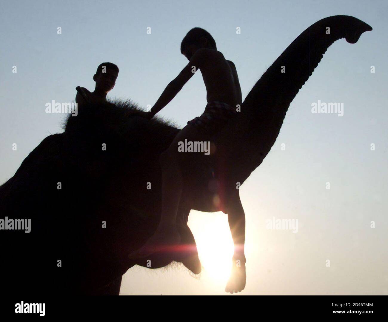 Thailand elephant kids hi-res stock photography and images - Alamy