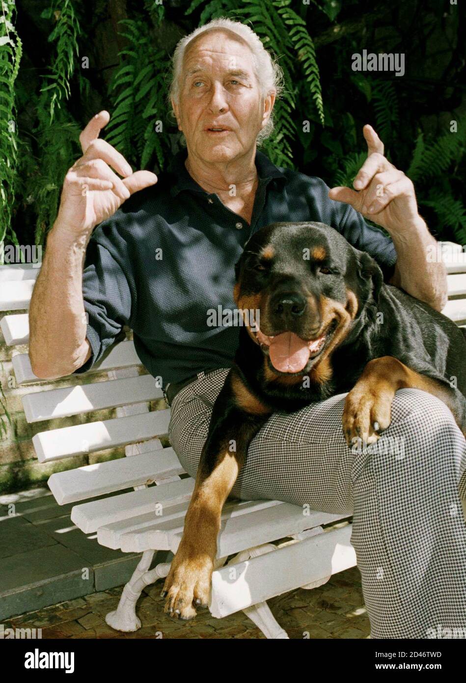 Hillside train britain hi-res stock photography and images - Alamy