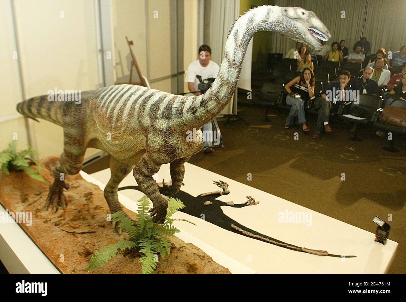 Dinosaur fossils finds hi-res stock photography and images - Alamy
