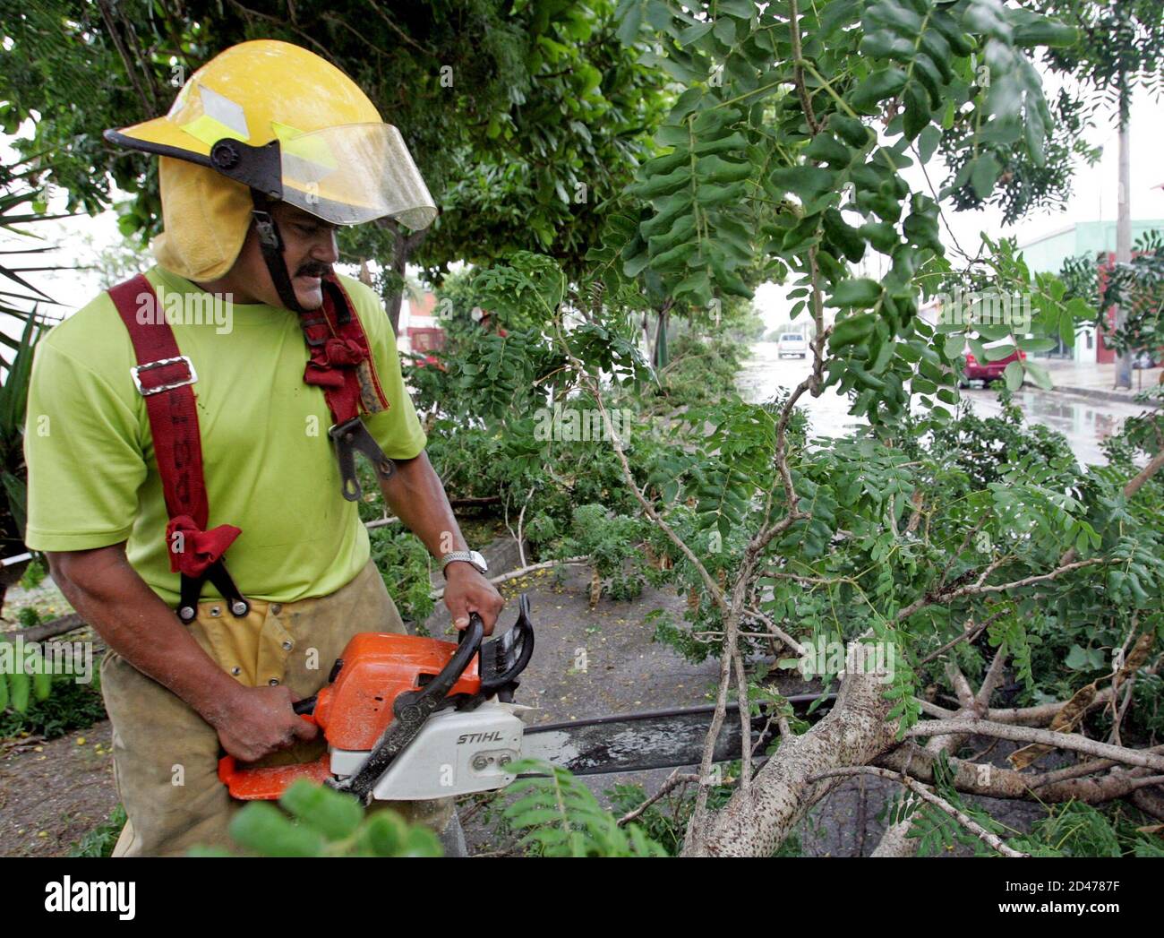 Blew trees hi-res stock photography and images - Alamy