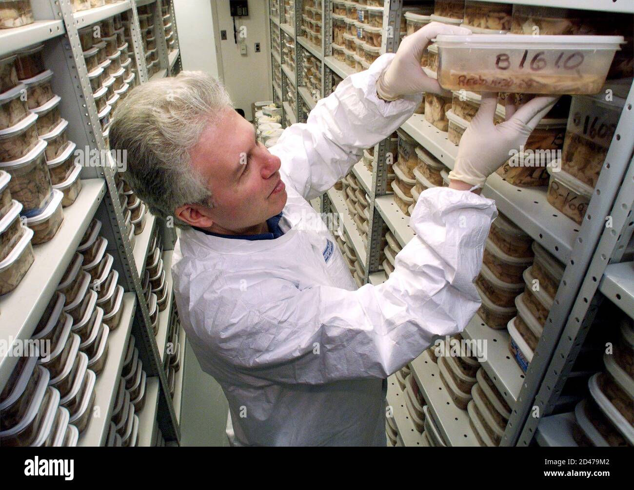 Neurohistology High Resolution Stock Photography and Images - Alamy