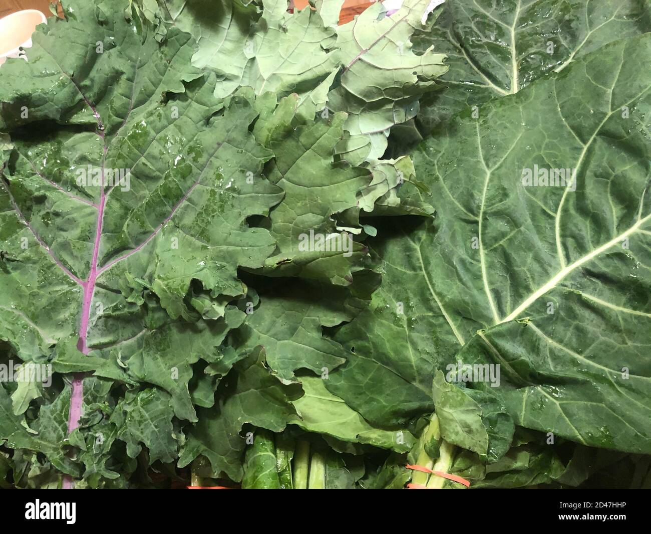 Vegetarian bunches hi-res stock photography and images - Alamy