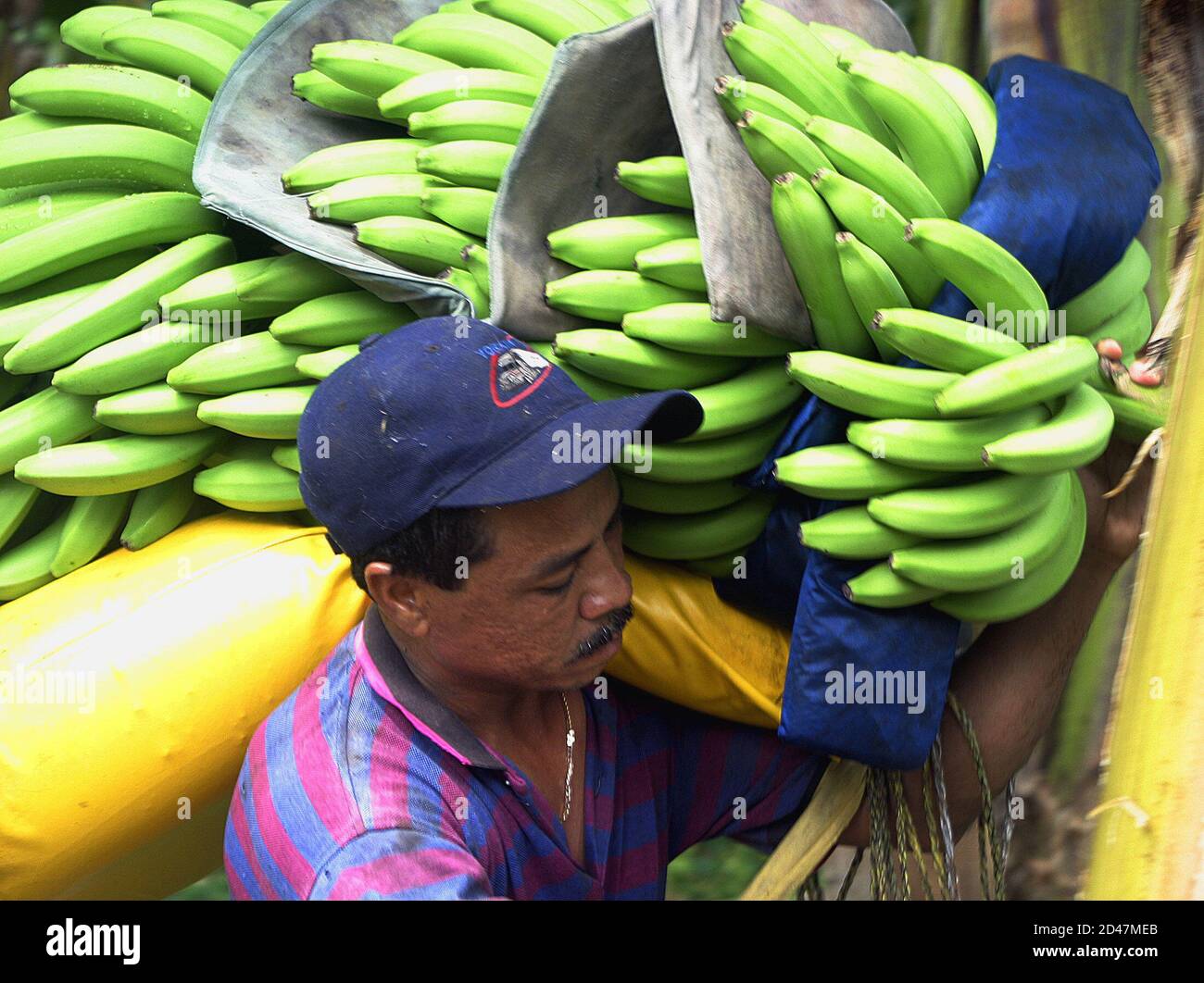 Panama regions hi-res stock photography and images - Alamy