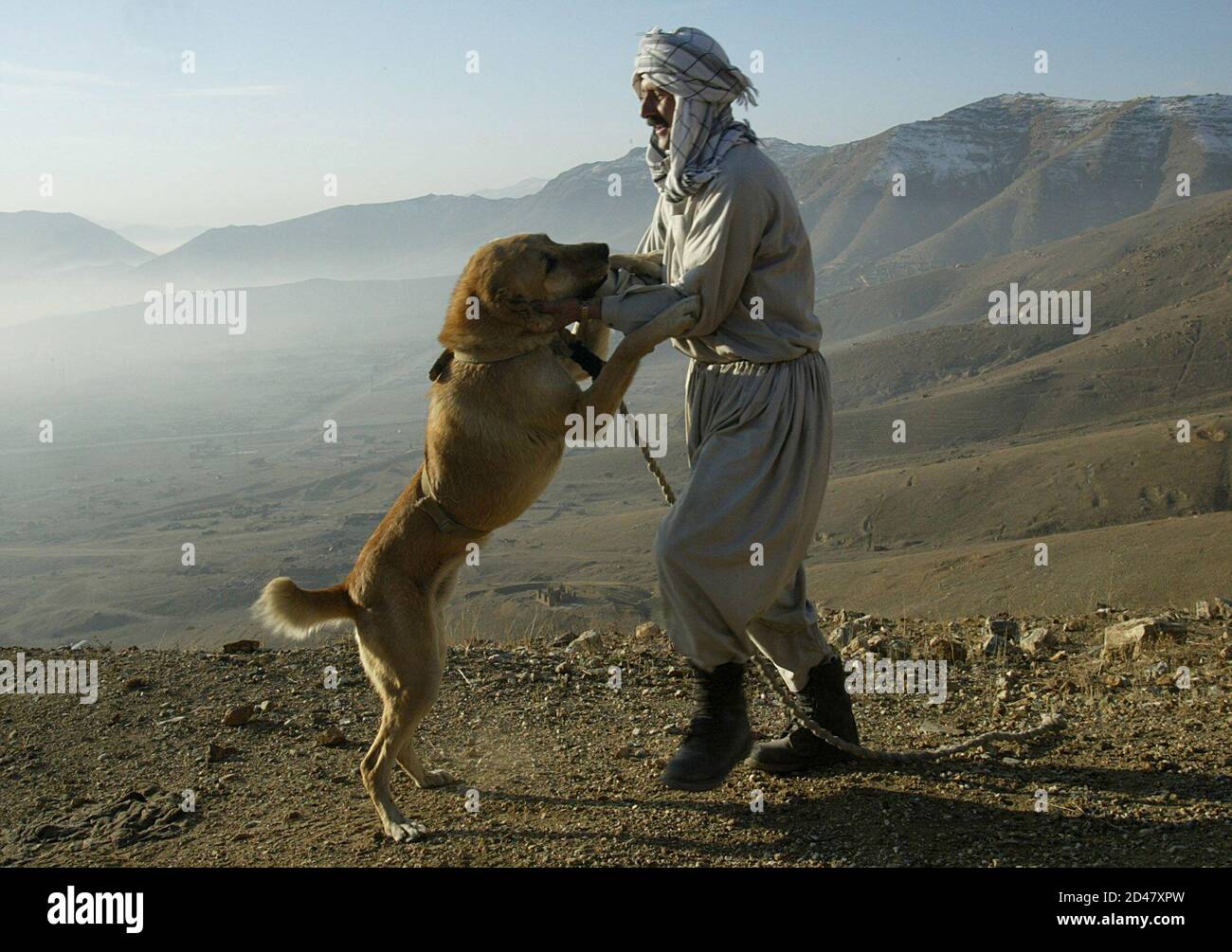 Rulers of afghanistan hi-res stock photography and images - Alamy