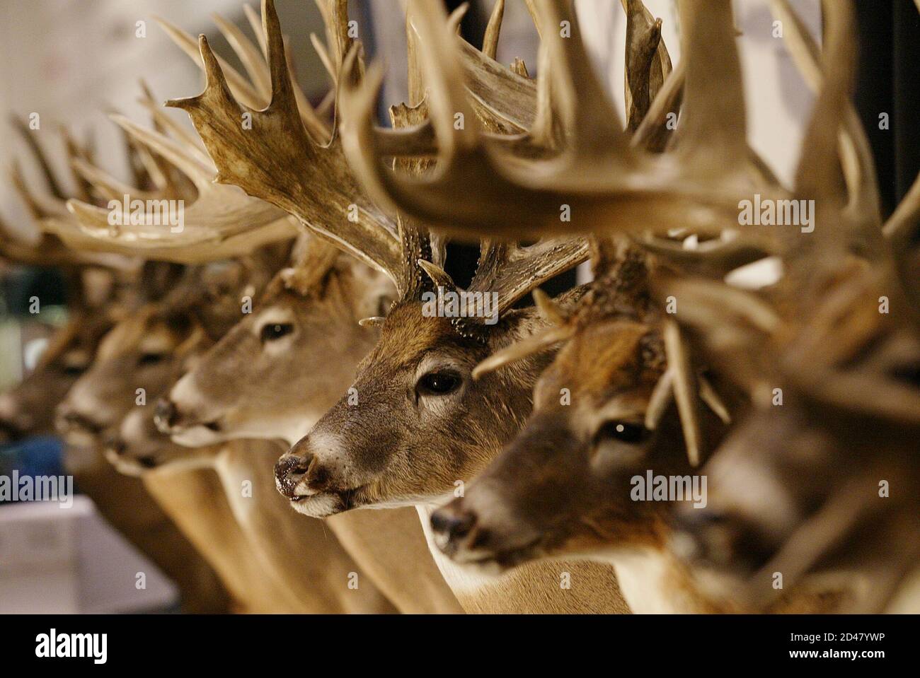 Ss booth hi-res stock photography and images - Alamy