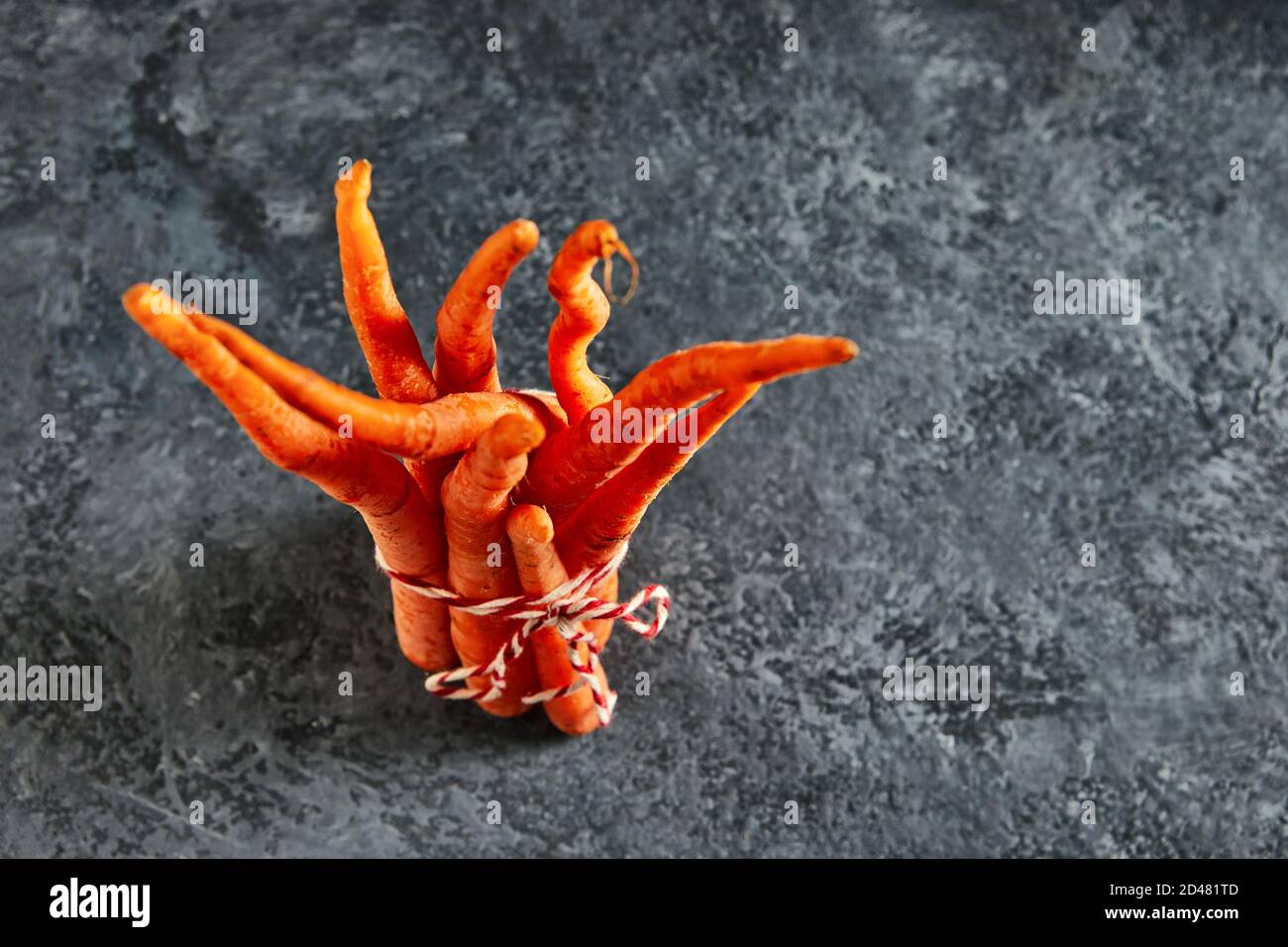 Ugly food. Deformed organic carrots on a blue background. Deformed ...