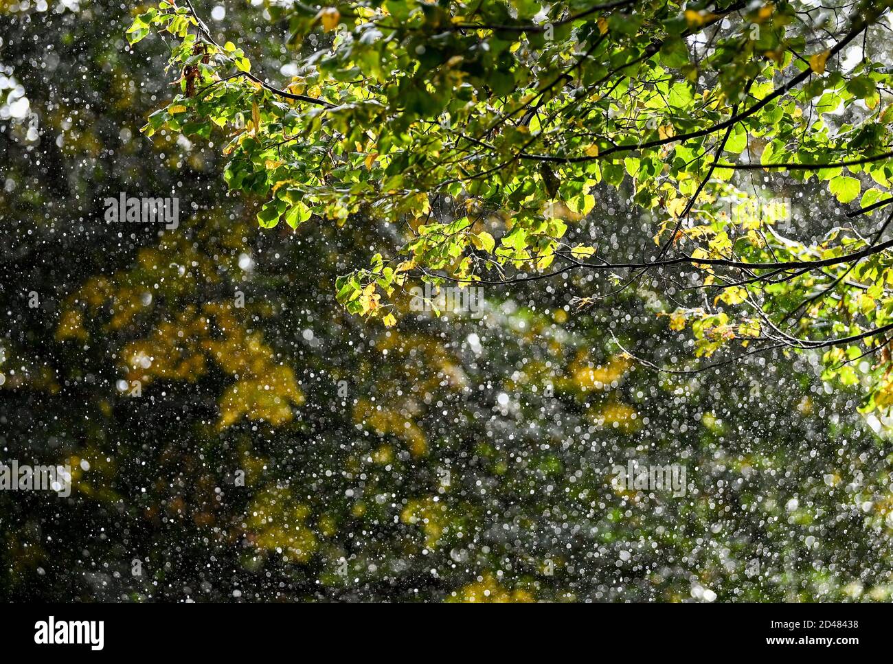 Berlin, Germany. 07th Oct, 2020. A shower of rain falls in an alley of ...