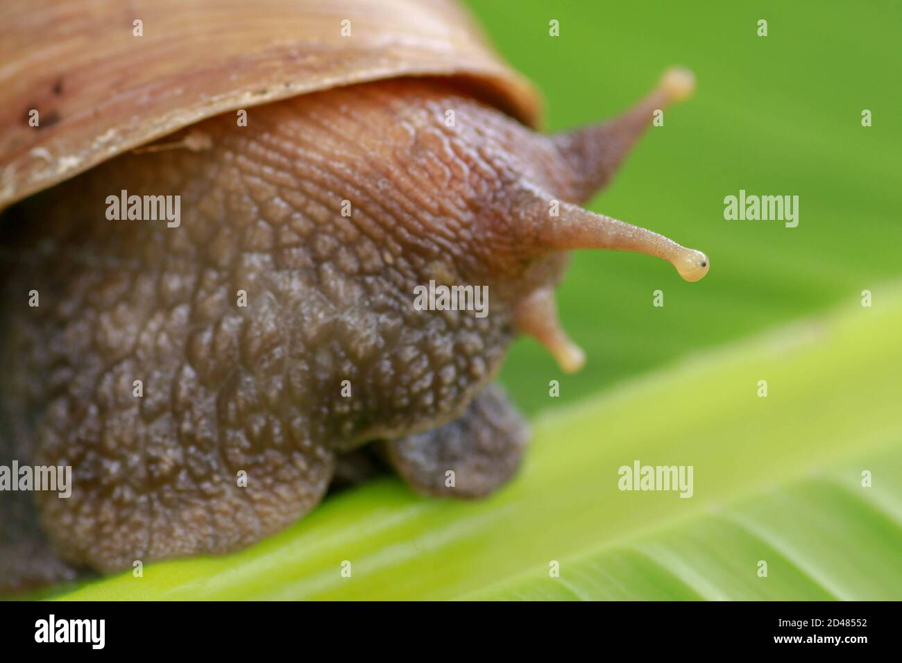 Close up slow motion lens hi-res stock photography and images - Alamy