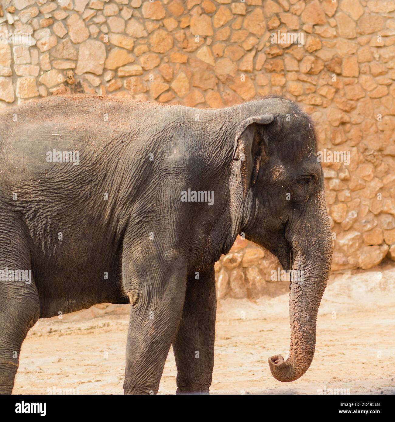 Stone aviary hi-res stock photography and images - Alamy