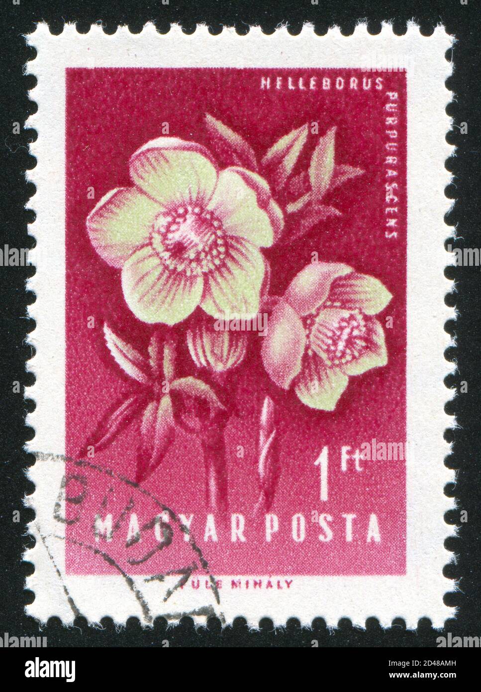 Hungary postage circa stamp 1958 hi-res stock photography and images ...