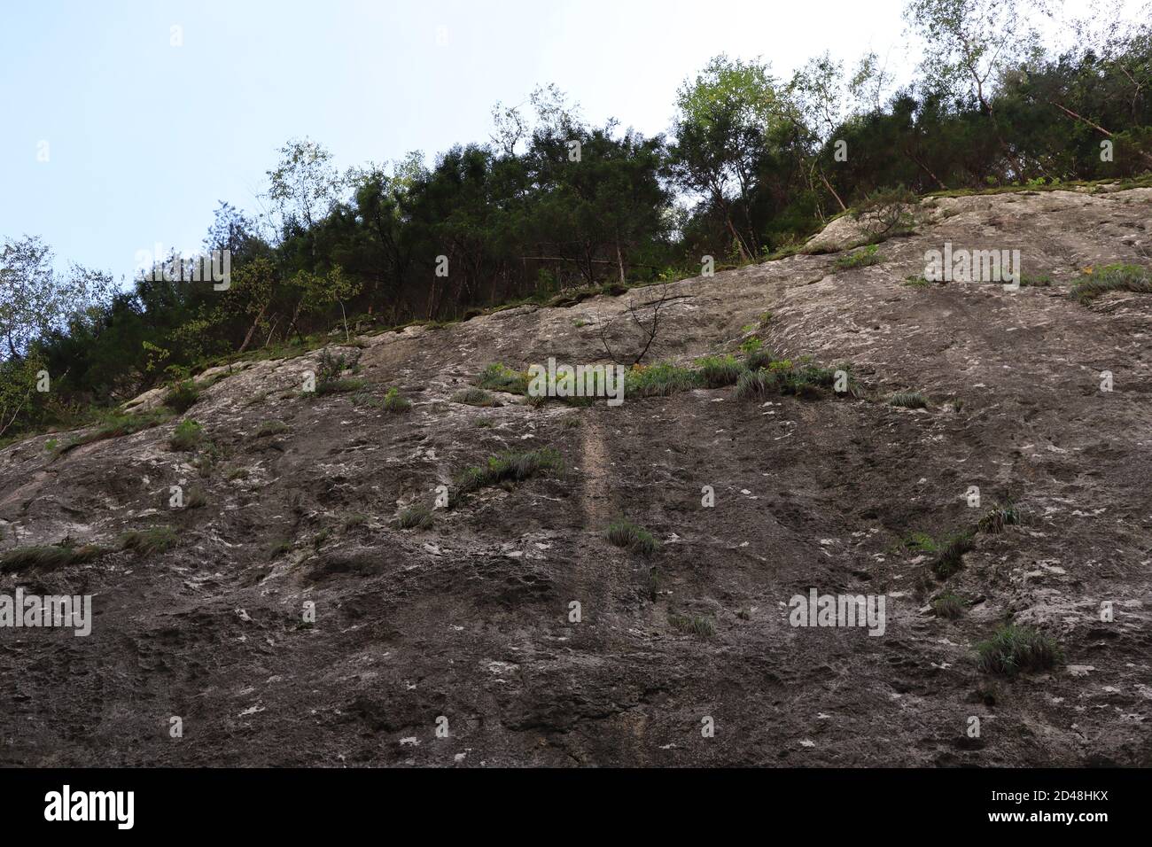 Carpathian Montain rock in Romania , Bicaz Chei, Pine forest Stock ...