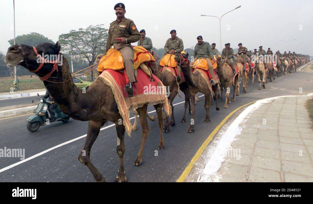 India defence camels hi-res stock photography and images - Alamy