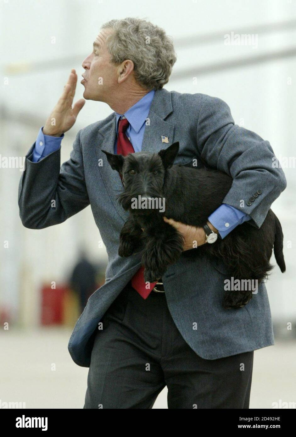 Barney dog hi-res stock photography and images - Alamy