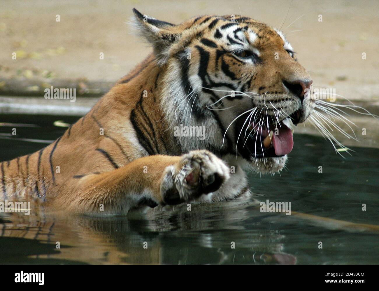 Severe hot weather hi-res stock photography and images - Alamy