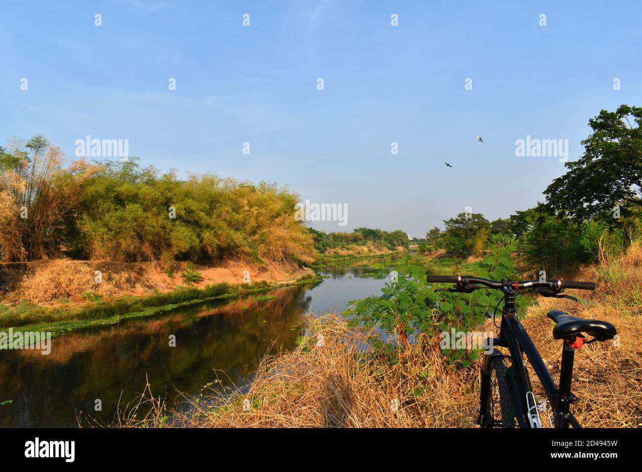 Solo river bengawan hi-res stock photography and images - Alamy