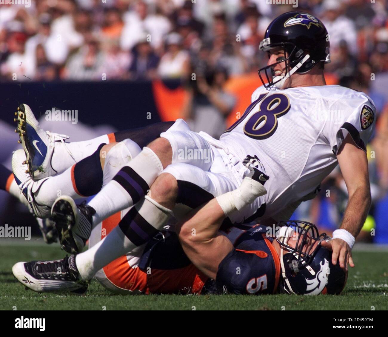 Bill Romanowski High Resolution Stock Photography and Images - Alamy