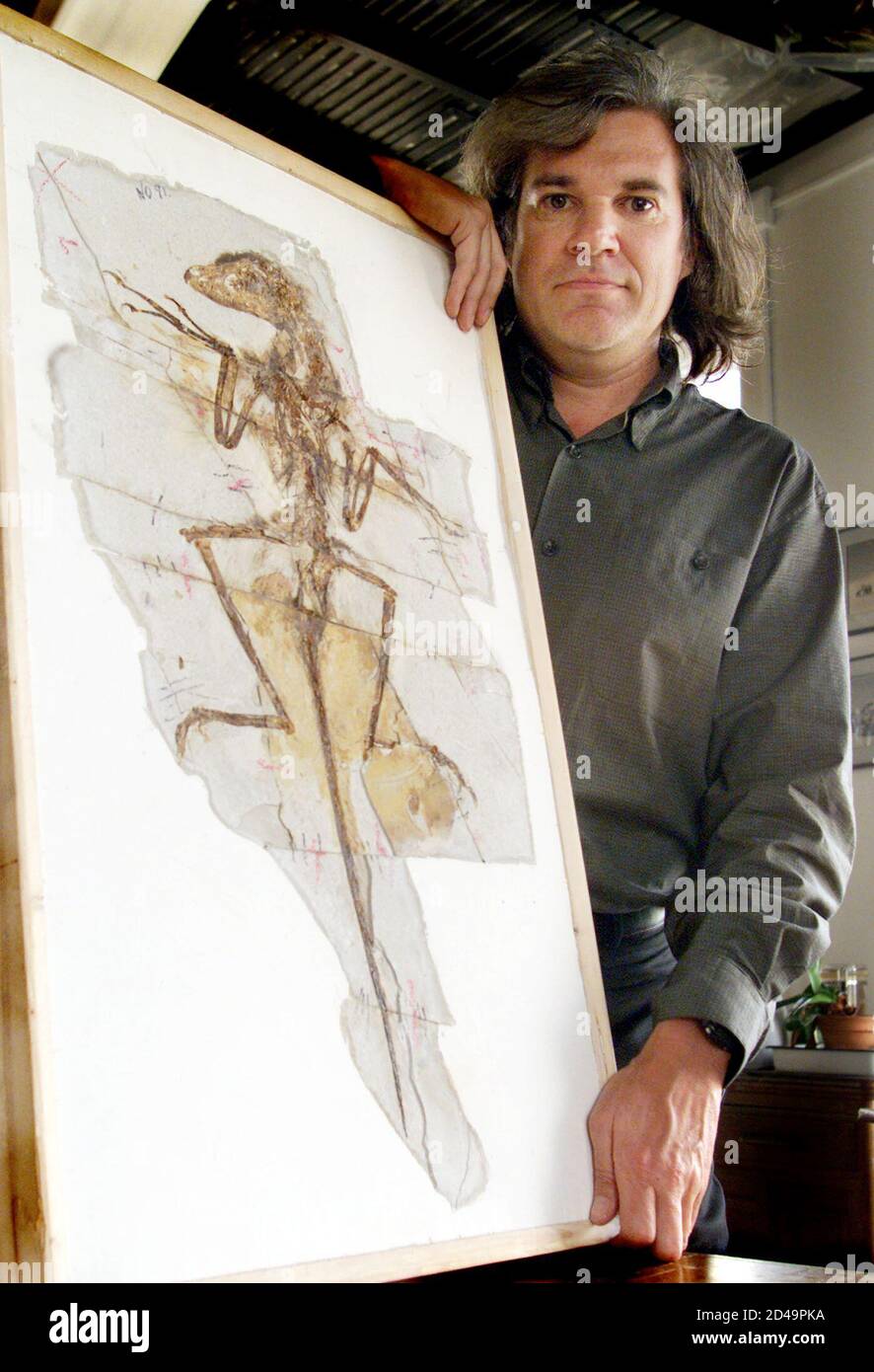 Liaoning province dinosaurs hi-res stock photography and images - Alamy