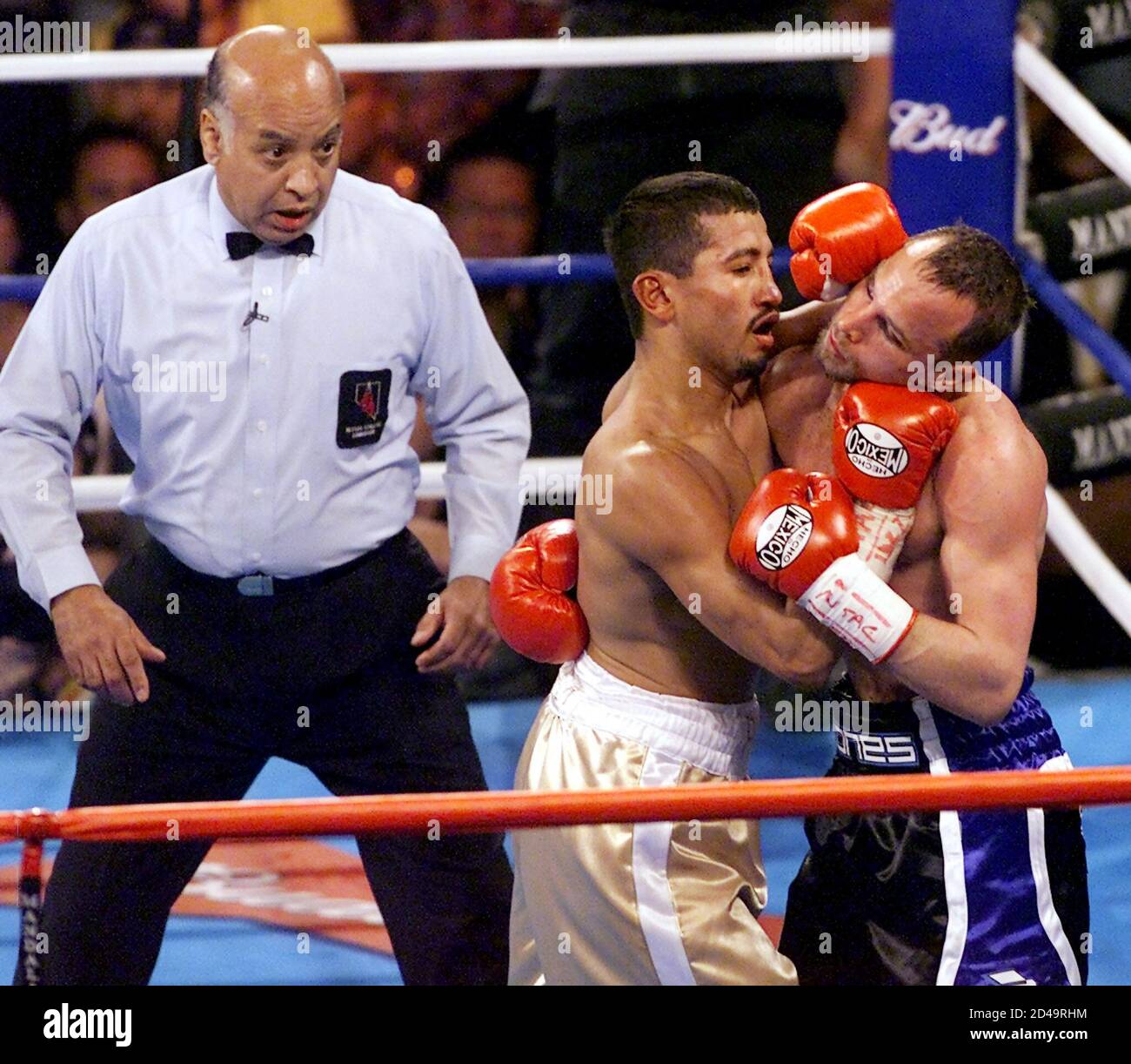 Paulie Ayala High Resolution Stock Photography and Images - Alamy