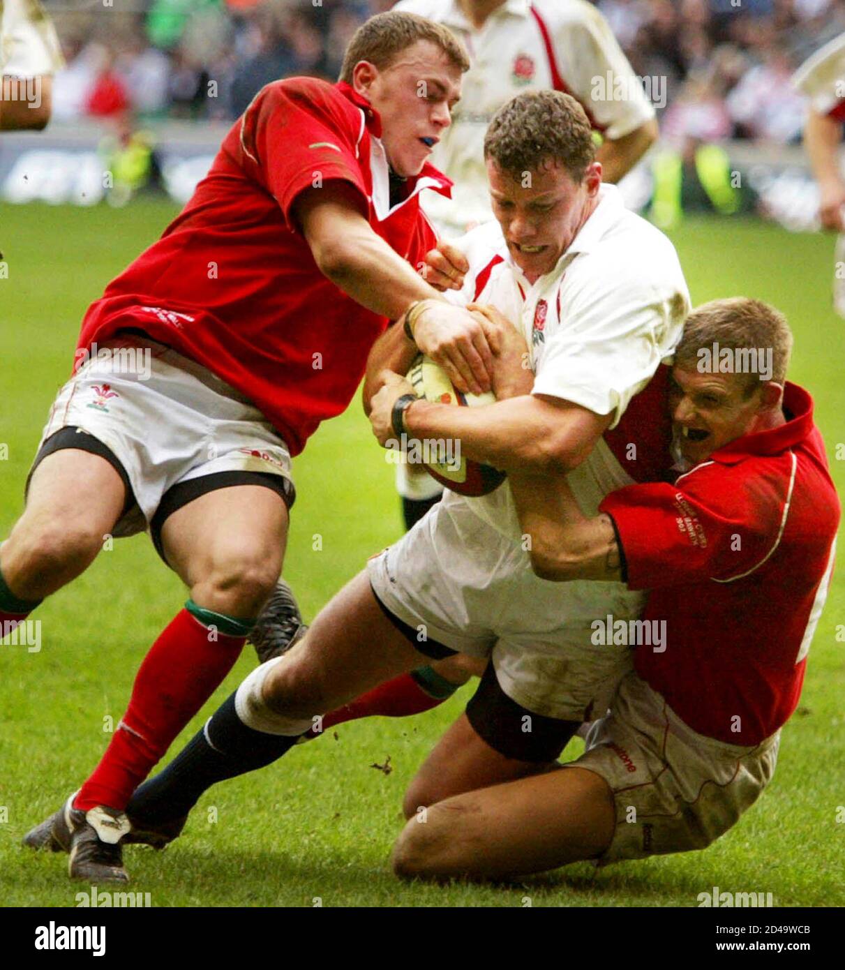 England beat wales hi-res stock photography and images - Alamy