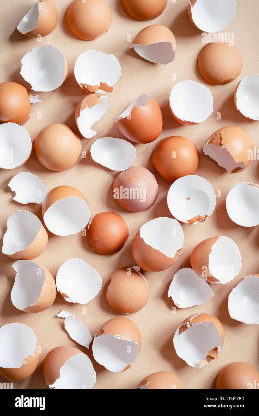 Egg shell cracked Stock Photo - Alamy