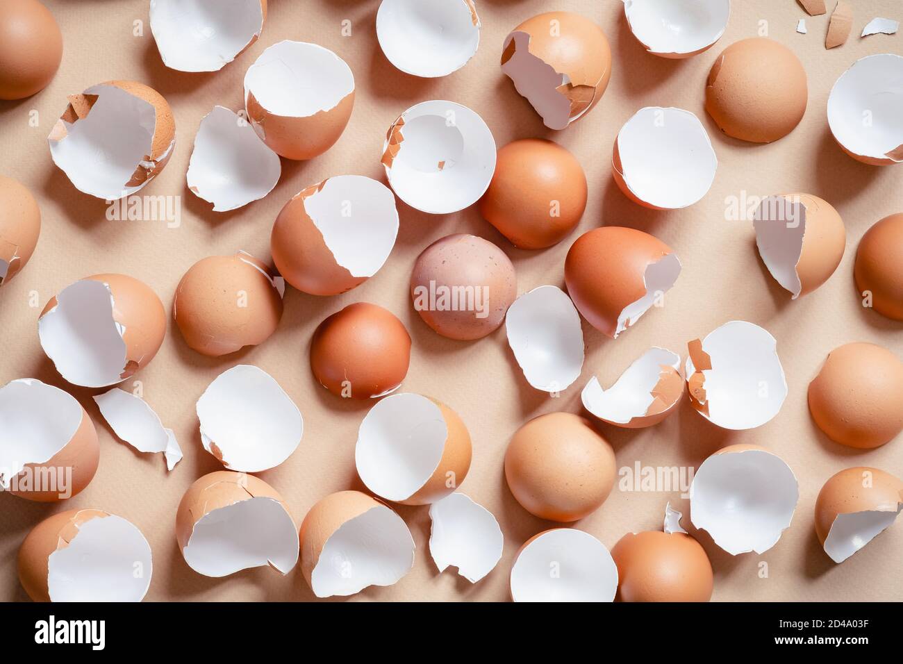 Egg shell cracked Stock Photo - Alamy