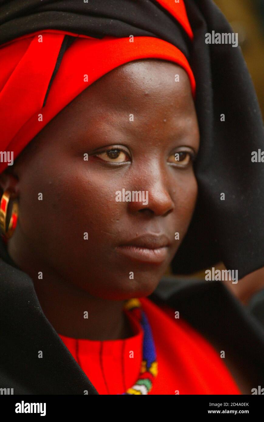 Modjadji High Resolution Stock Photography and Images - Alamy