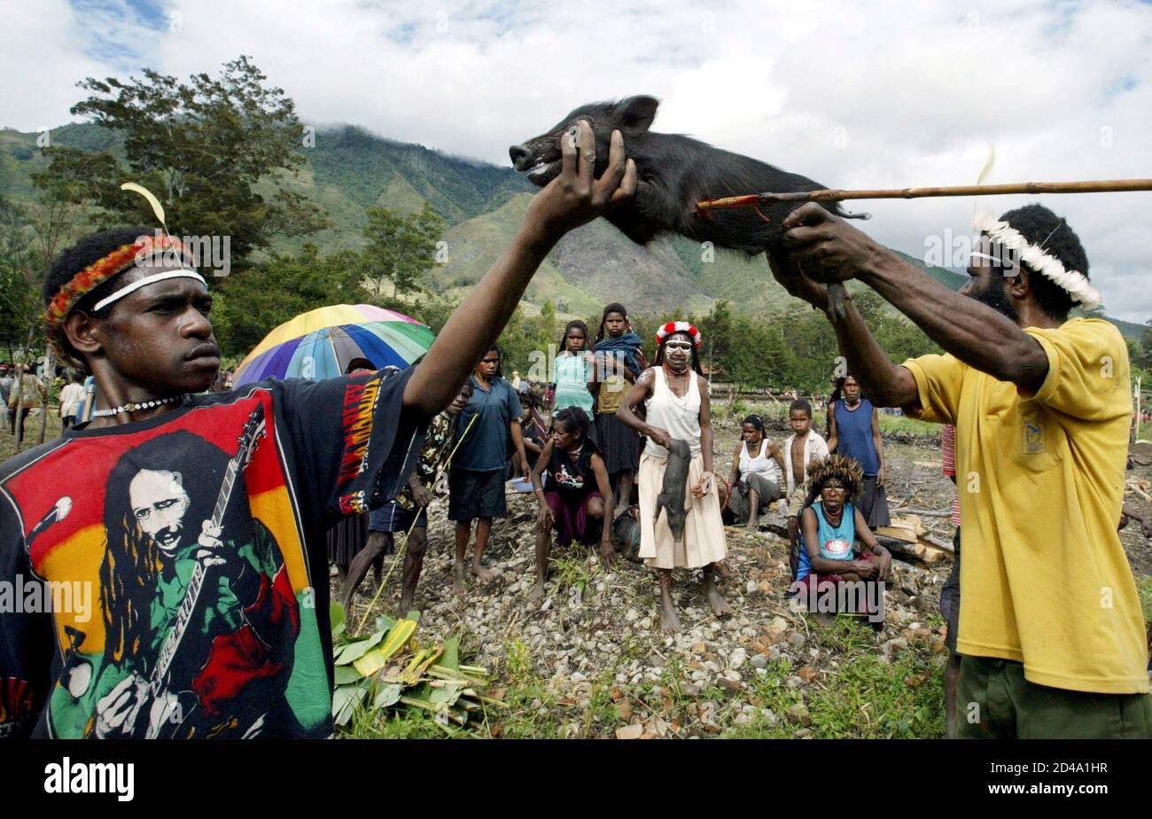 Pig with a bow hi-res stock photography and images - Alamy