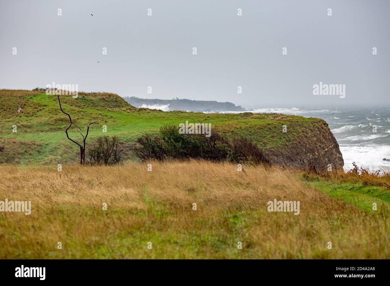 Strange sea water foam hi-res stock photography and images - Alamy