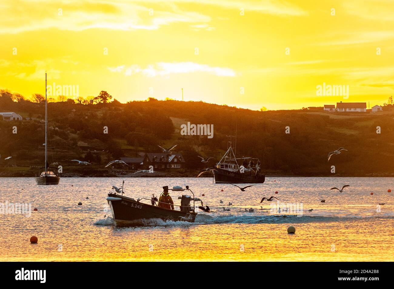 Schull, West Cork, Ireland. 9th Oct, 2020. A fisherman pilots his boat ...