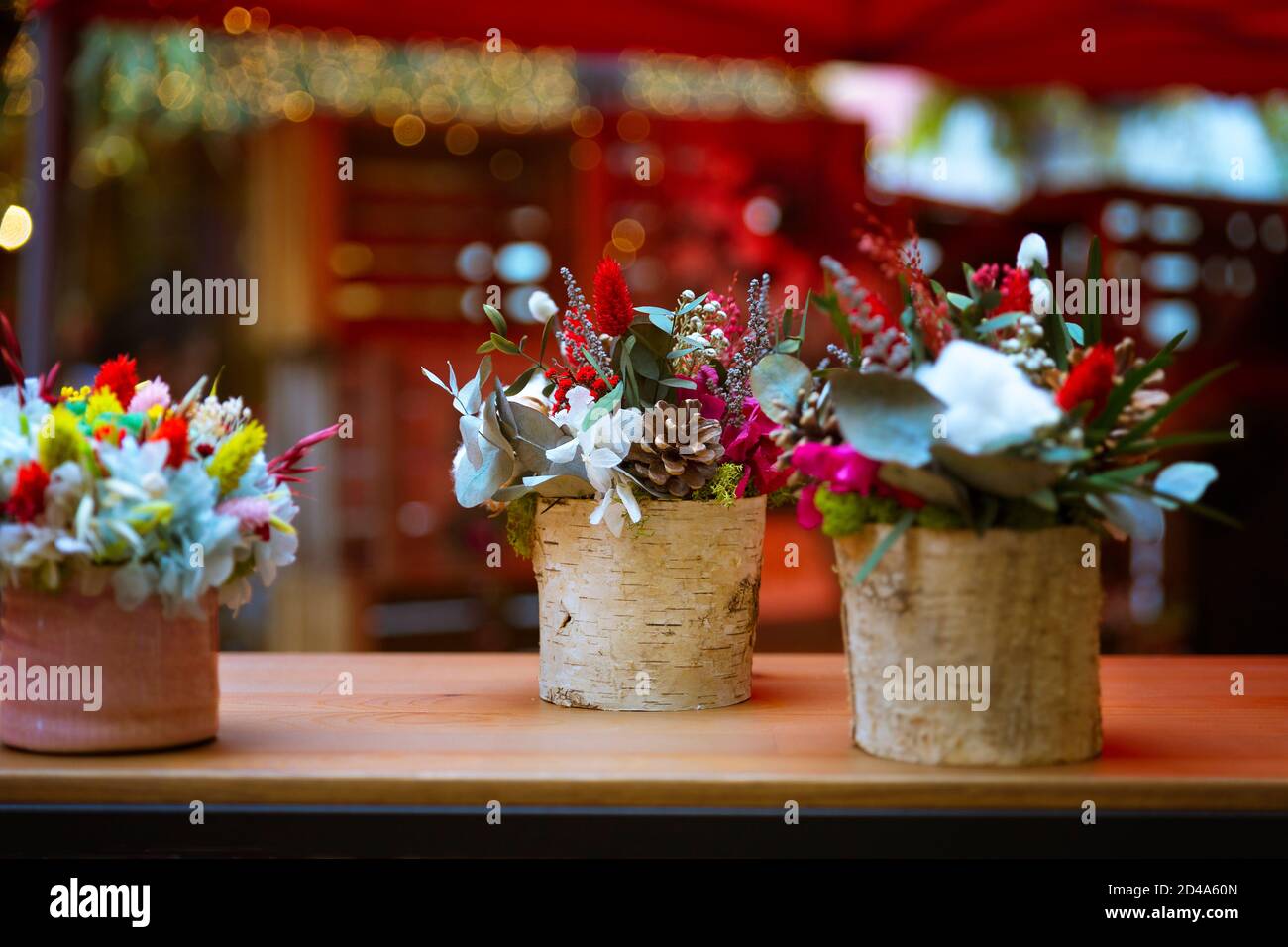ornamental plants in original pots for christmas gifts Stock Photo - Alamy