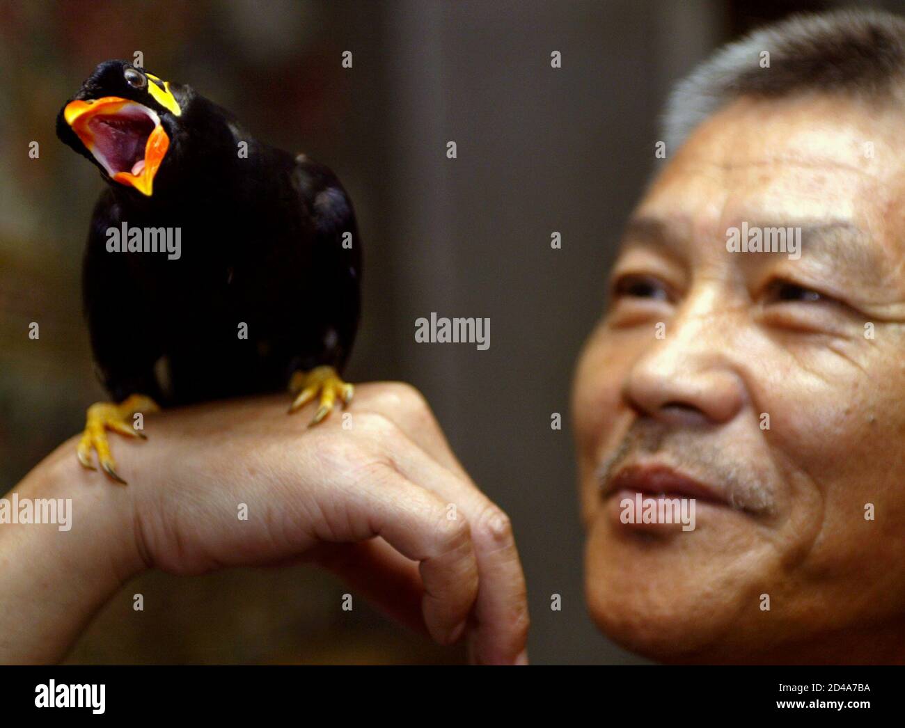 Ge cheng hi-res stock photography and images - Alamy