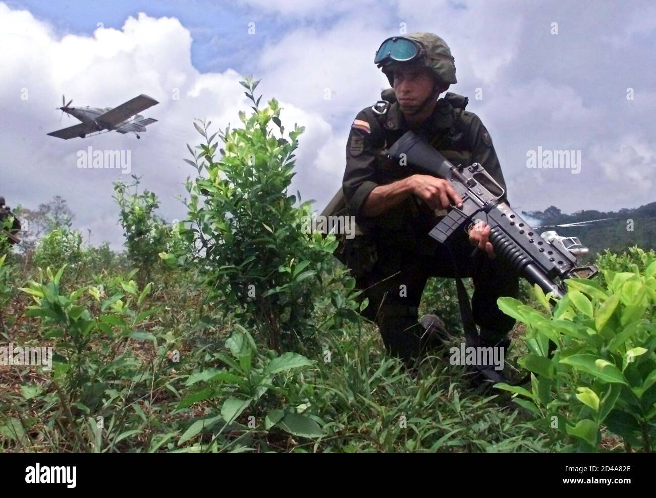 Jungle Commando High Resolution Stock Photography and Images - Alamy