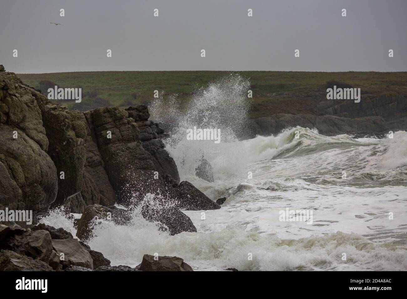 Dark moody autumn seascape landscape, stormy Black Sea, Bulgaria ...