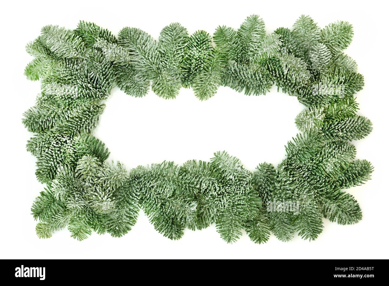 Snow covered spruce pine fir background border on white. Decorative ...