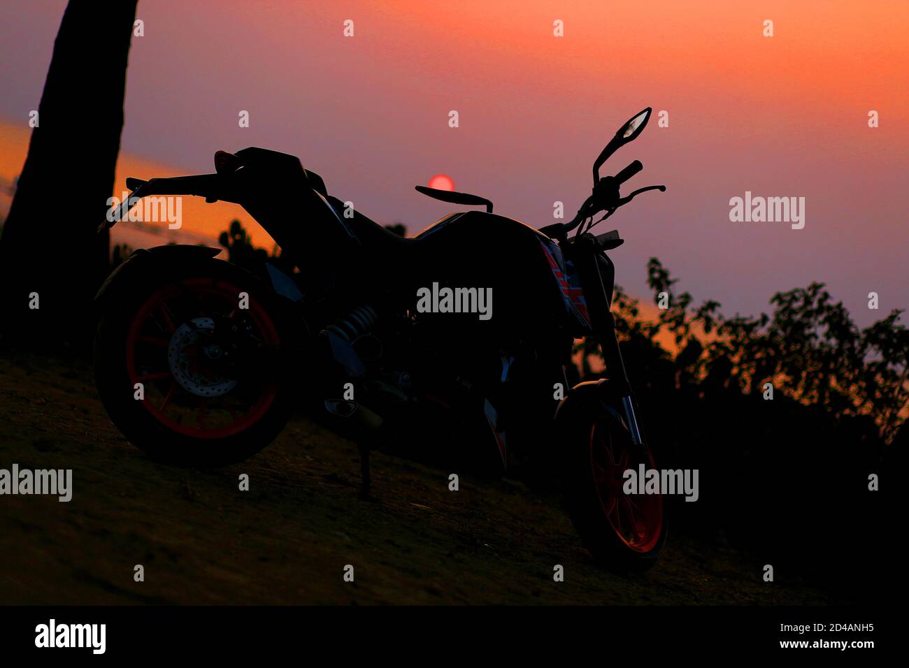 The perfect companion enjoying sunset with me Stock Photo - Alamy