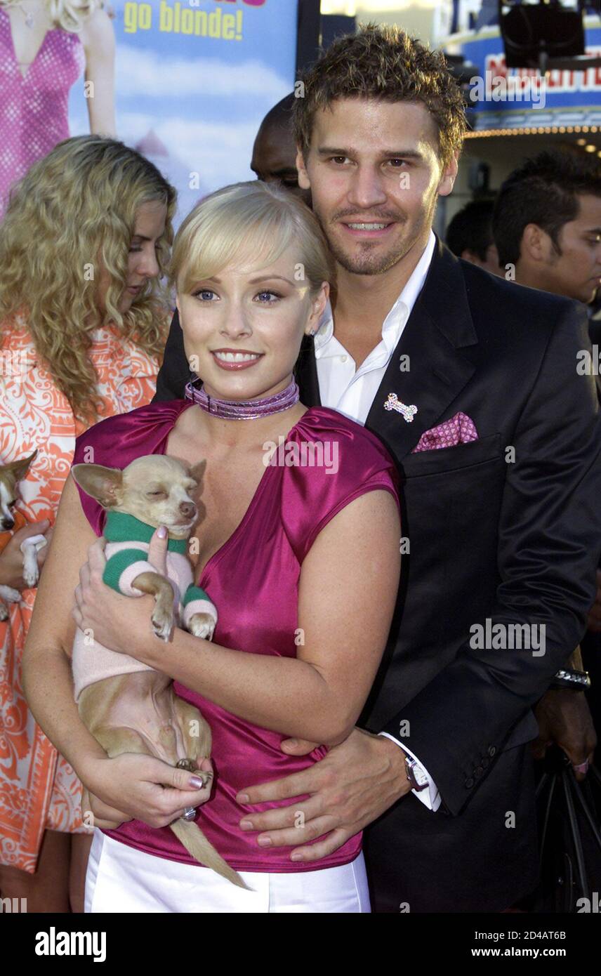 Jamie Bergman High Resolution Stock Photography and Images - Alamy