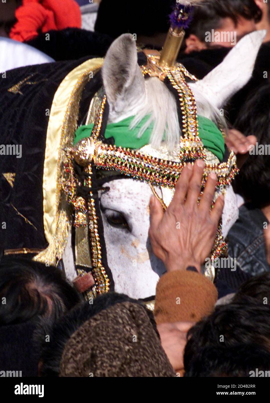 Ashura muslim shia horse hi-res stock photography and images - Alamy