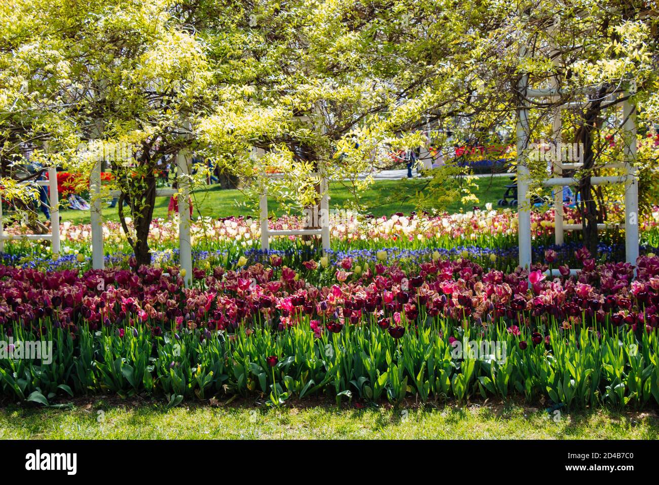 Beautiful scenery of a garden with a lot of flowers and trees on a ...