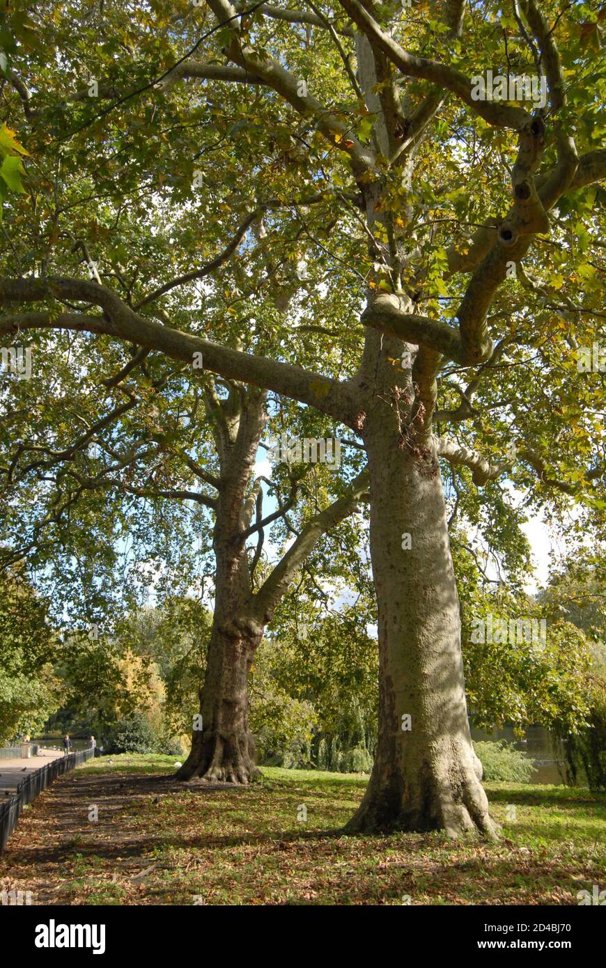 Walking through the Park Stock Photo - Alamy