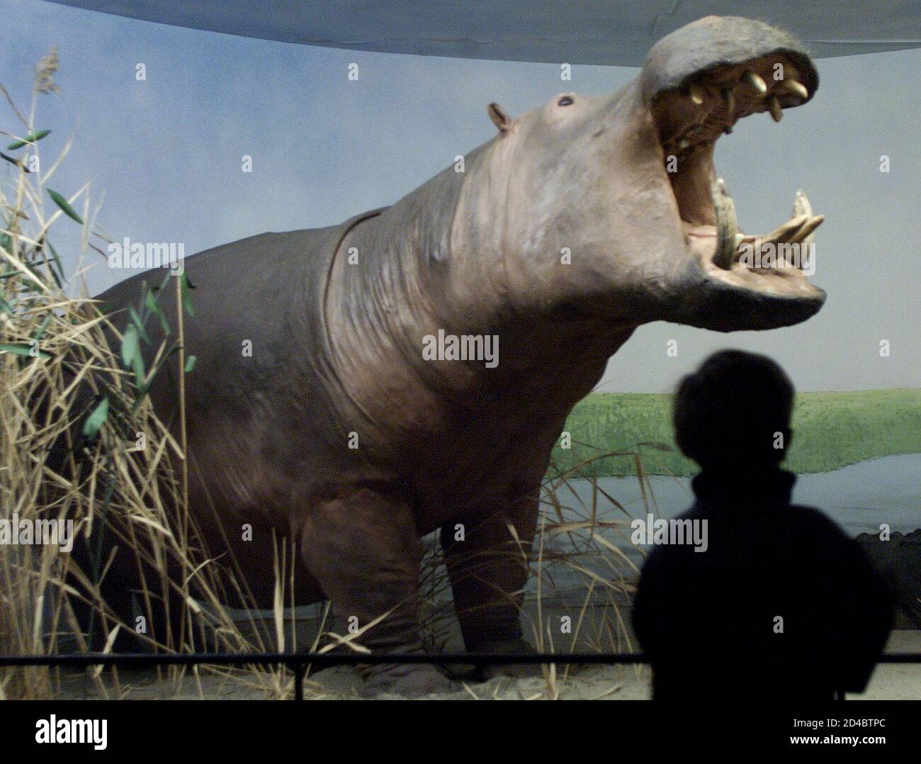 Leopold ii of belgium congo hi-res stock photography and images - Alamy