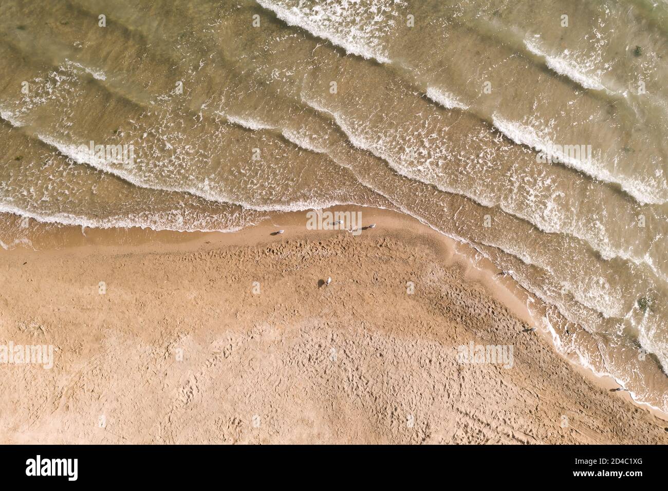 Landscape by the lake, soil and the lake edge. Photo in Qinghai, China ...