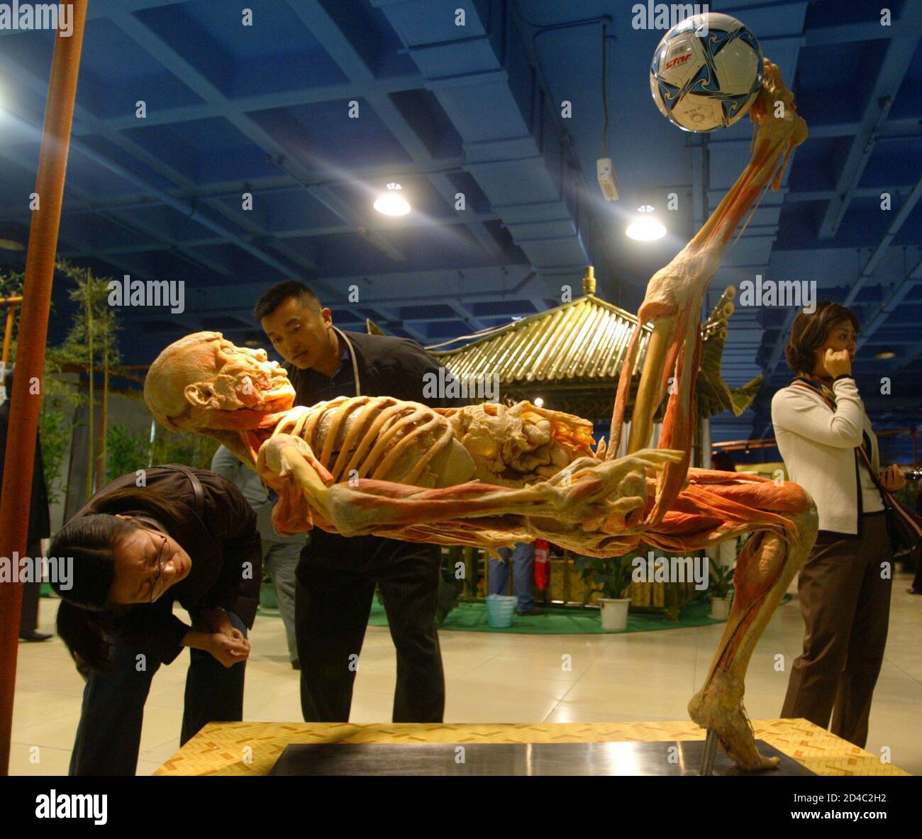 Plasticised hi-res stock photography and images - Alamy