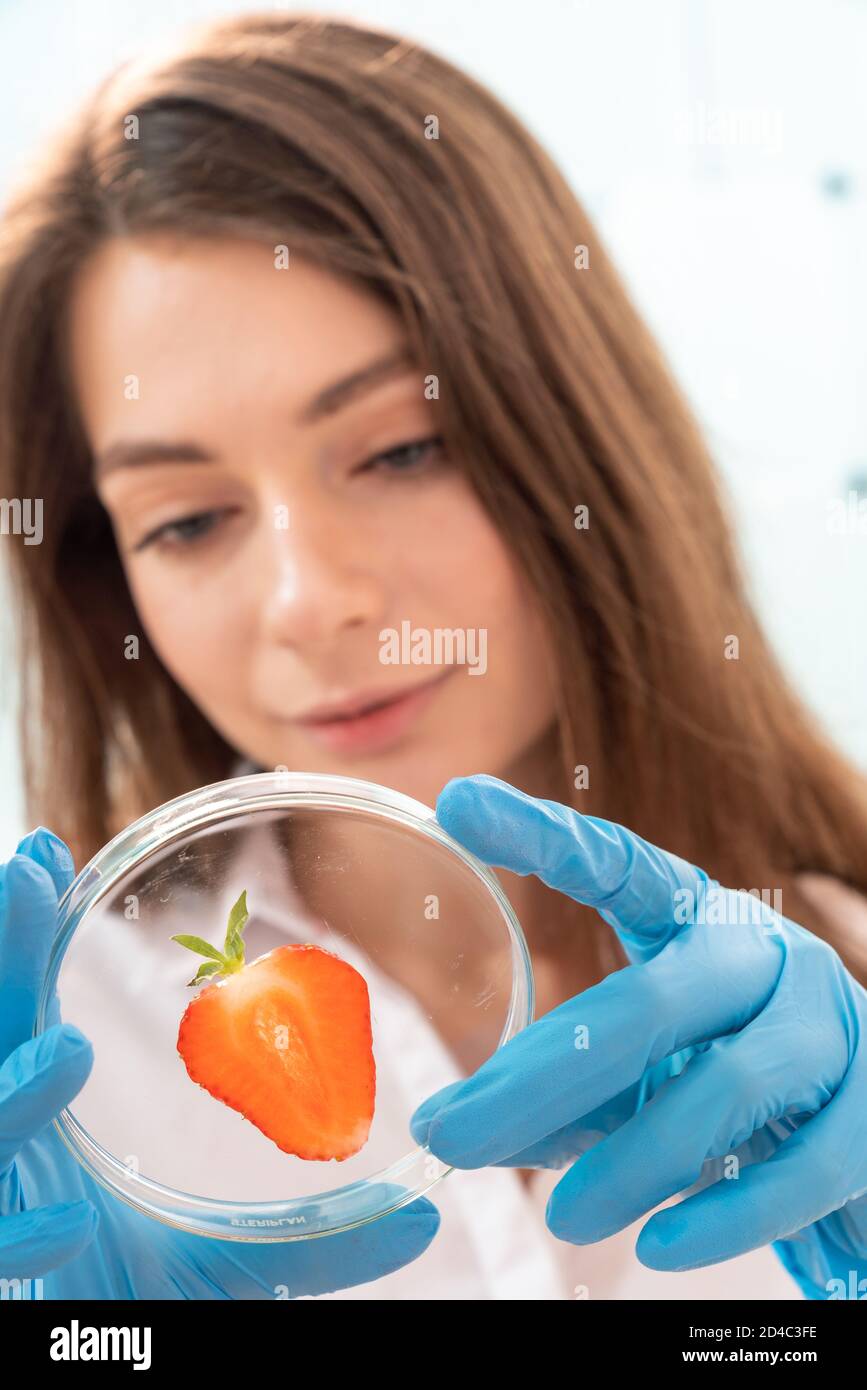 Quality inspection of agricultural food products. Checking the content ...